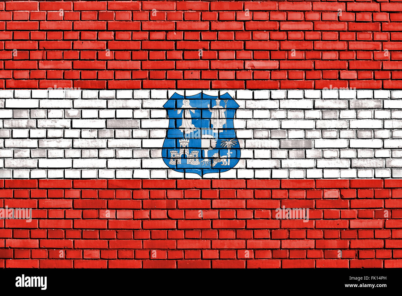 flag of Asuncion painted on brick wall Stock Photo - Alamy