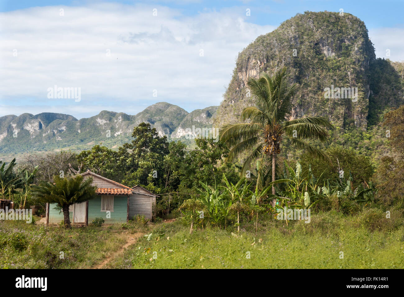 Countryside of Cuba with houses of farmers surrounded by fields of ...