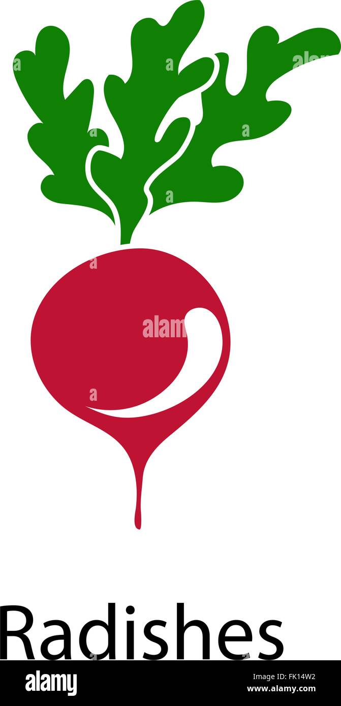 Radishes icon on white background. Vector illustration Stock Vector ...