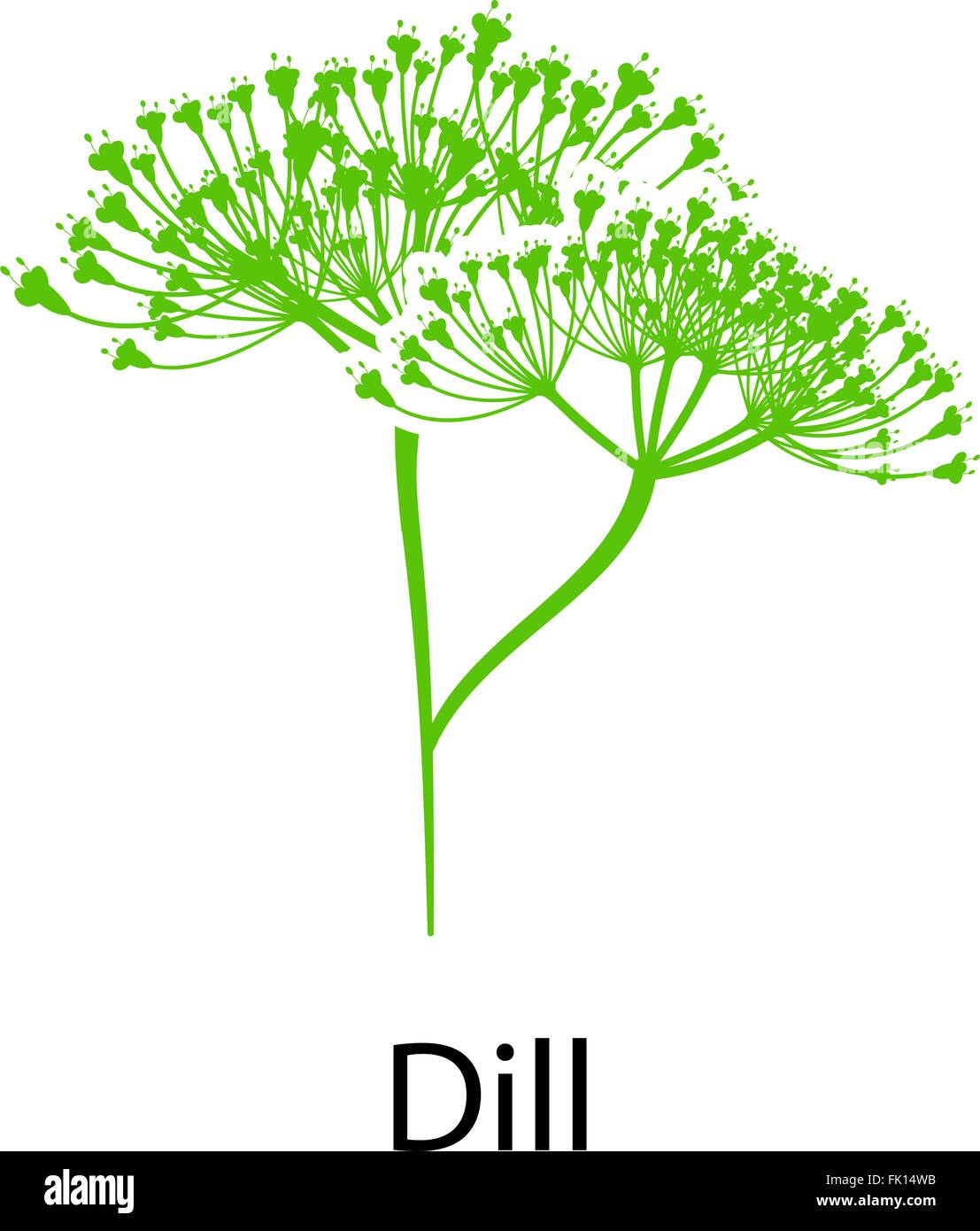 Dill icon on white background. Vector illustration Stock Vector Image ...