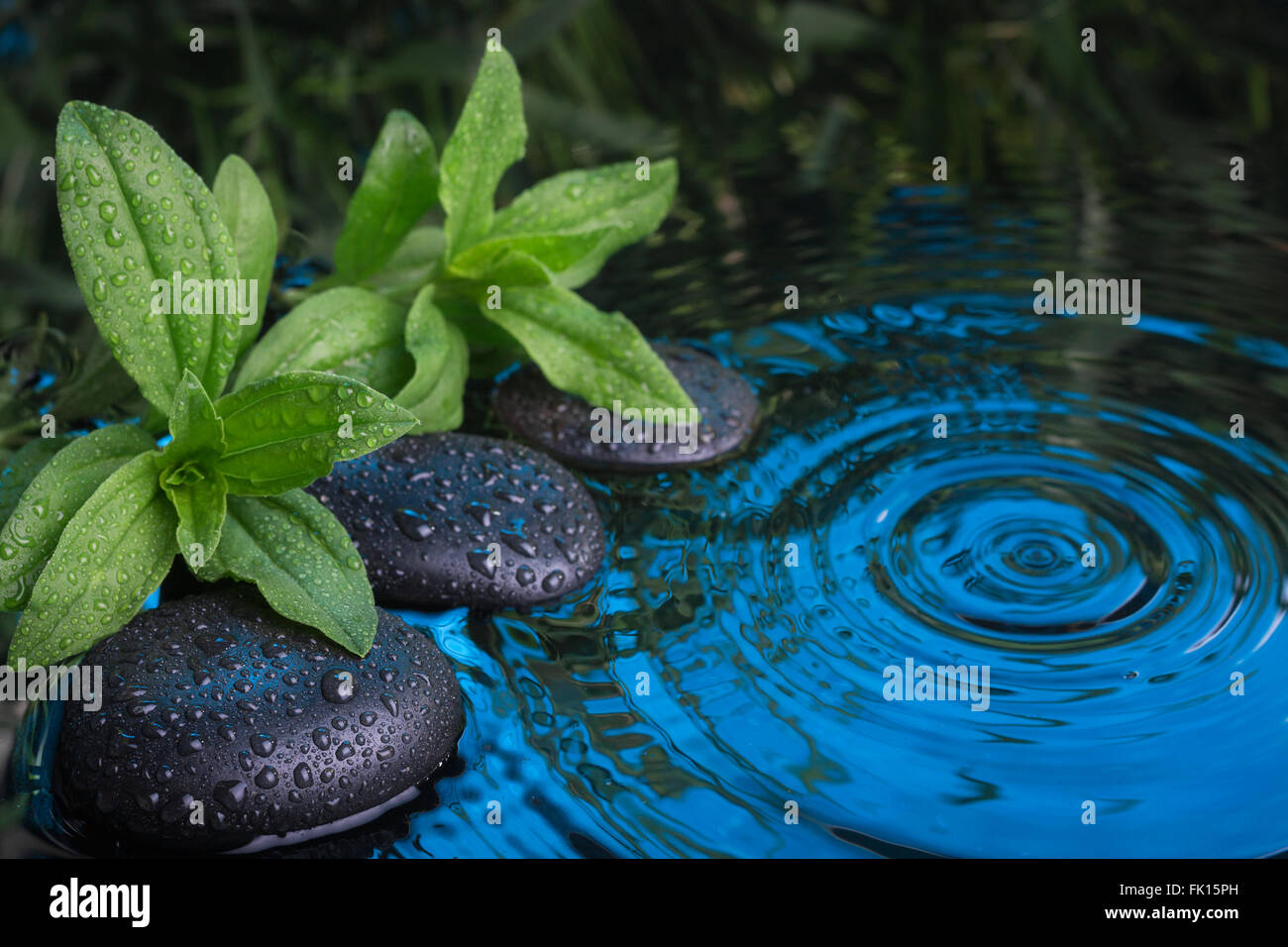 Line of stones and leaves in water, as a backdrop Stock Photo - Alamy