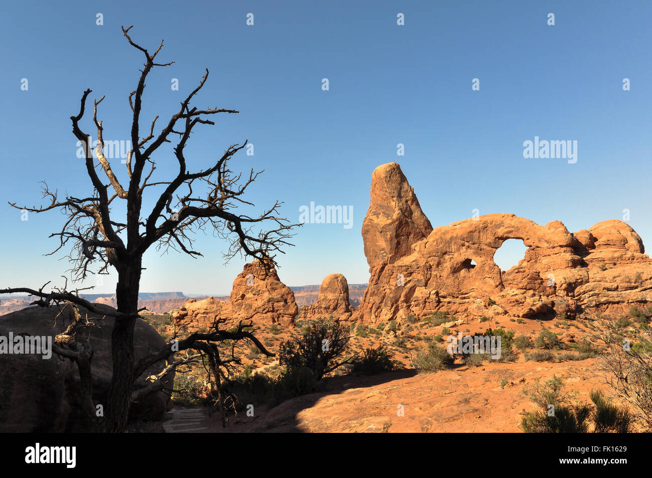 Natural tree arch hi-res stock photography and images - Alamy