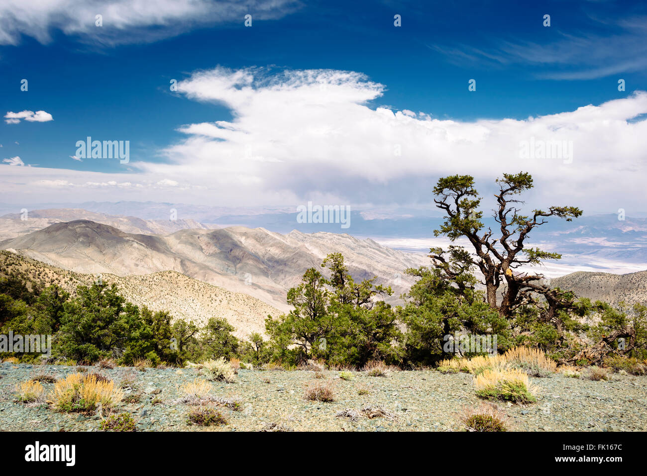 The view from Wildrose Peak in the Panamint Range of Death Valley ...
