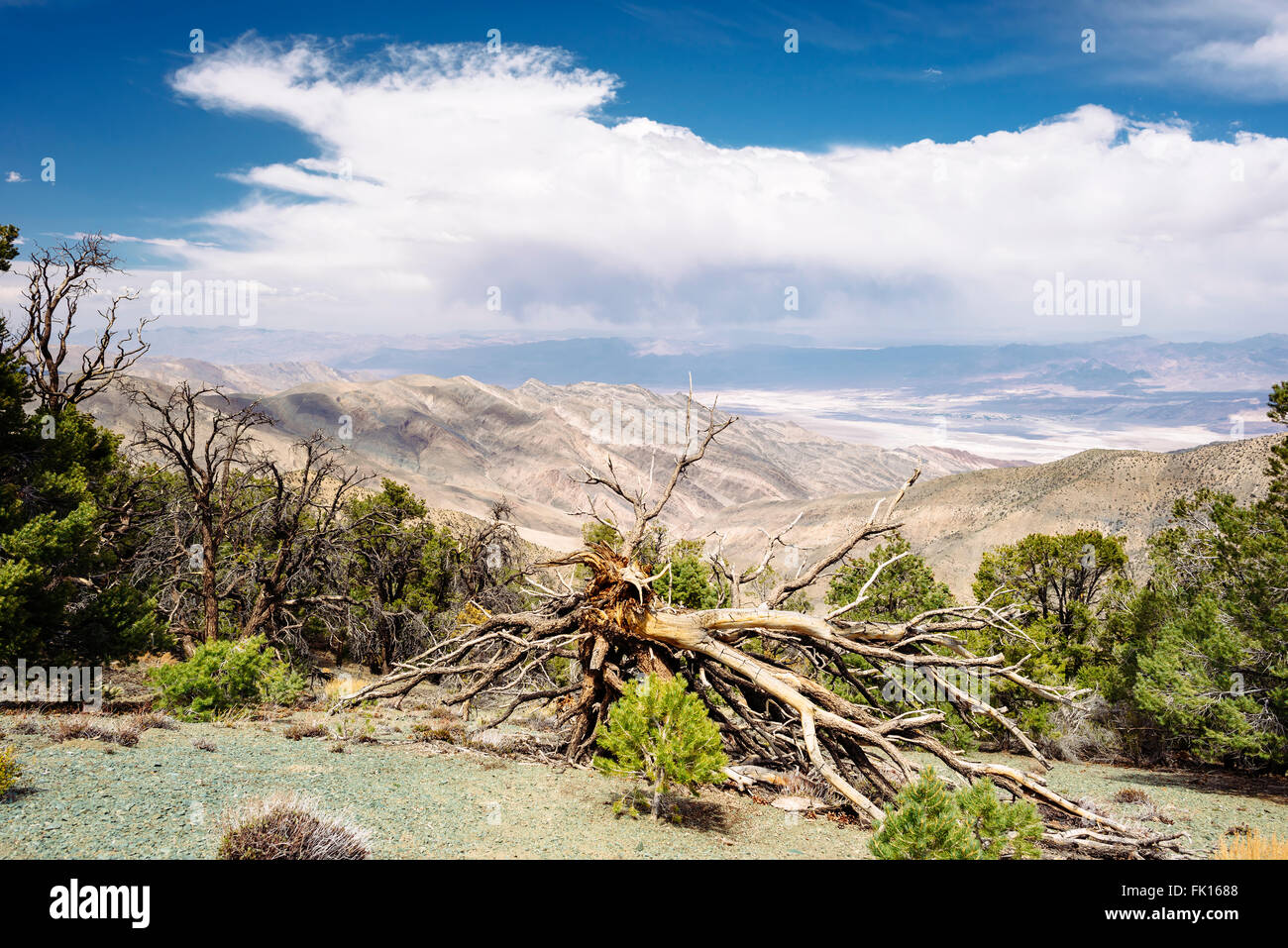 The view from Wildrose Peak in the Panamint Range of Death Valley ...