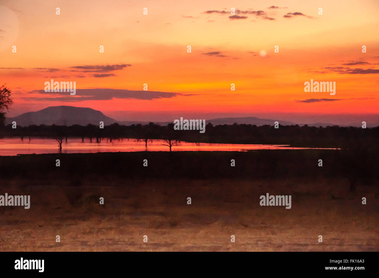 Manze hi-res stock photography and images - Alamy