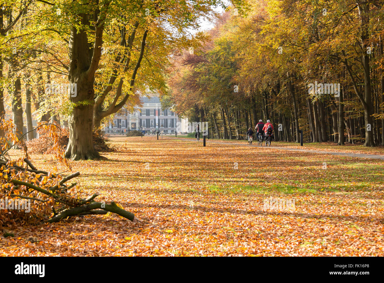 Groeneveld netherlands castle hi-res stock photography and images - Alamy
