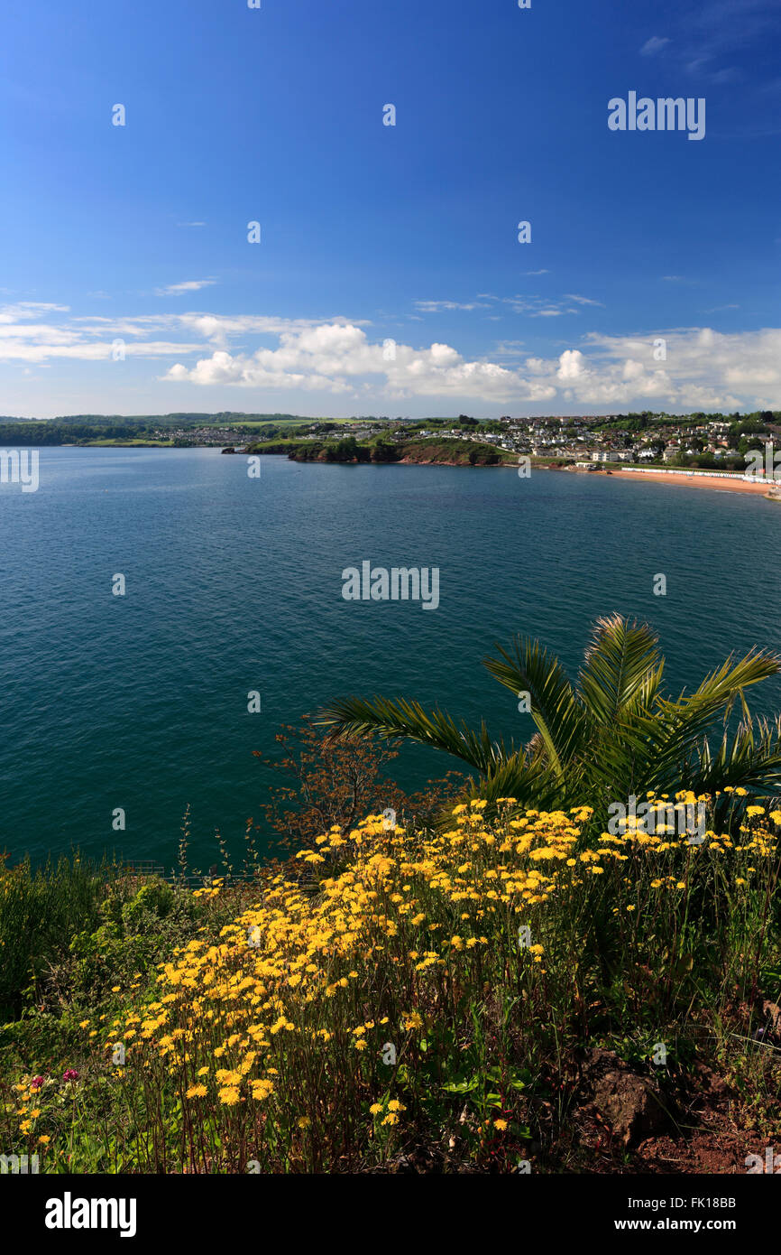 The sweeping Goodrington Sands beach, Torbay, English Riviera, Devon ...