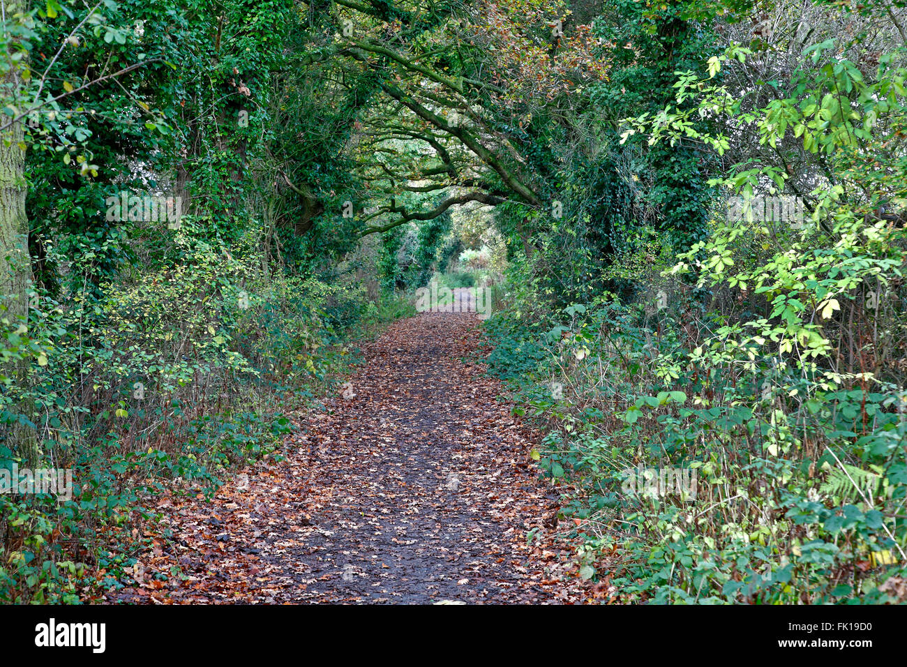 Footpath in Wirral Country Park near Neston and the Wirral Way Wirral ...