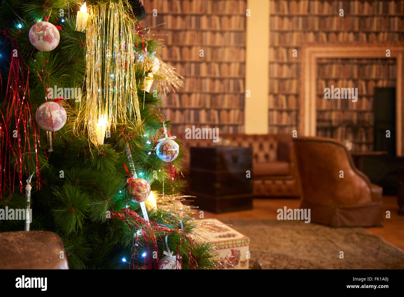 Indoors tree hi-res stock photography and images - Alamy