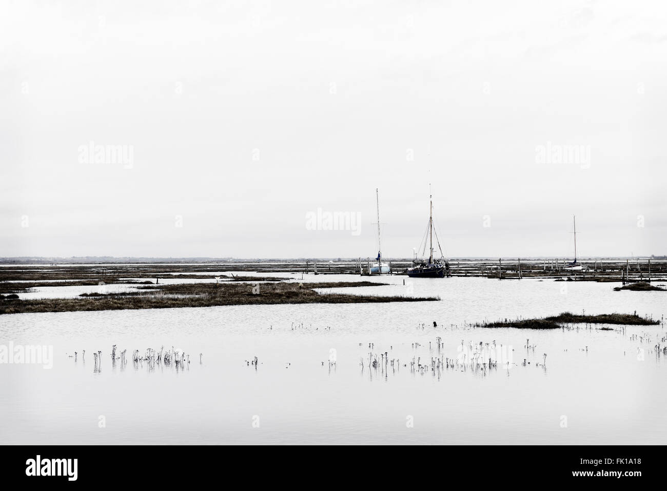 winter scene of salt marshes and mud berths at Tollesbury marina Essex ...