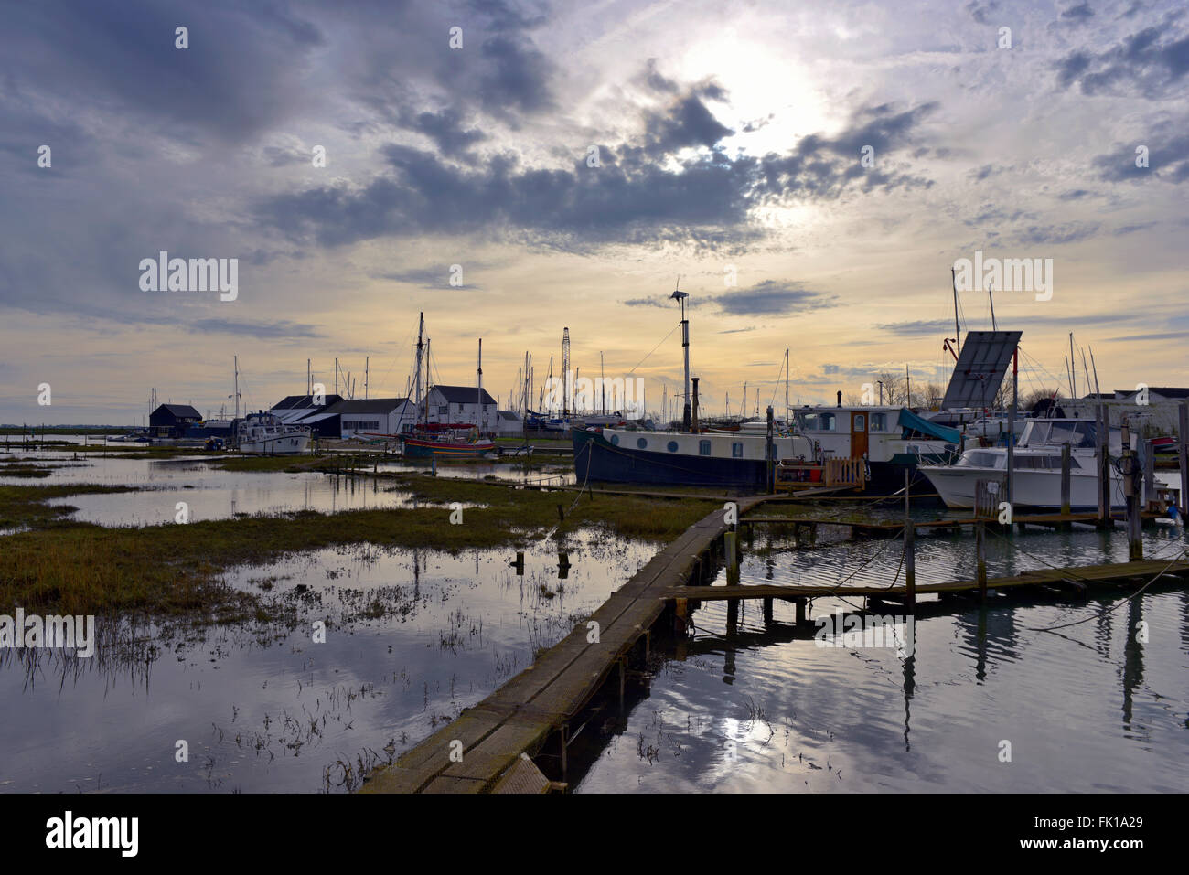 Tollesbury marina Essex with mud berths at high tide Stock Photo - Alamy