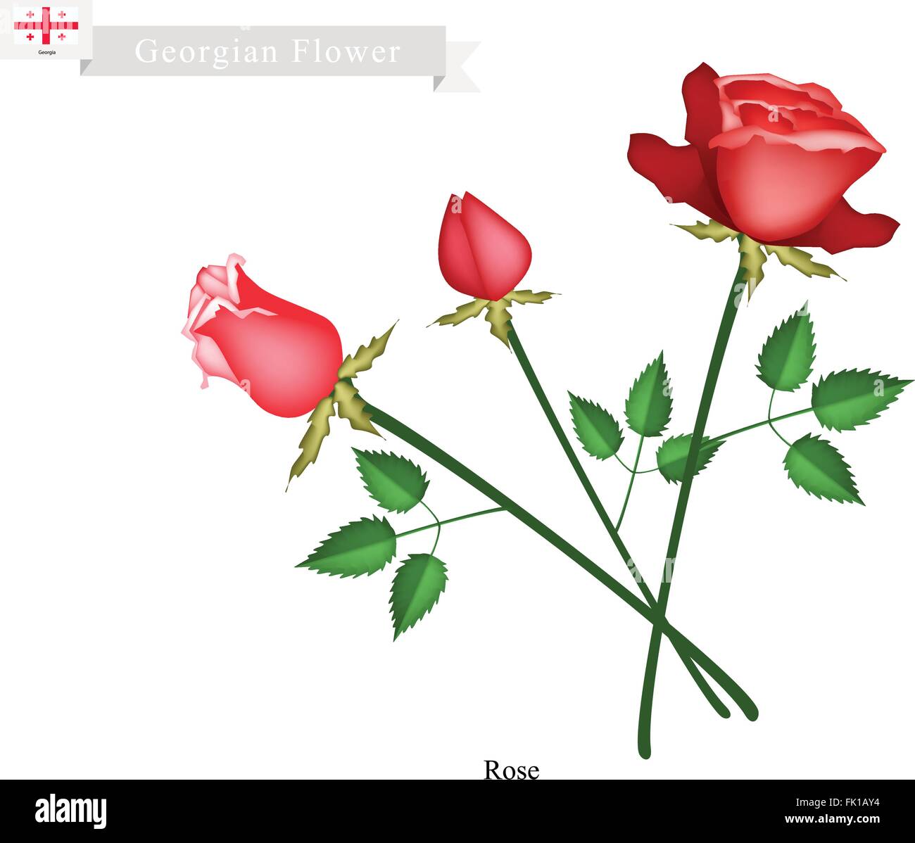 Flora of georgia Stock Vector Images - Alamy