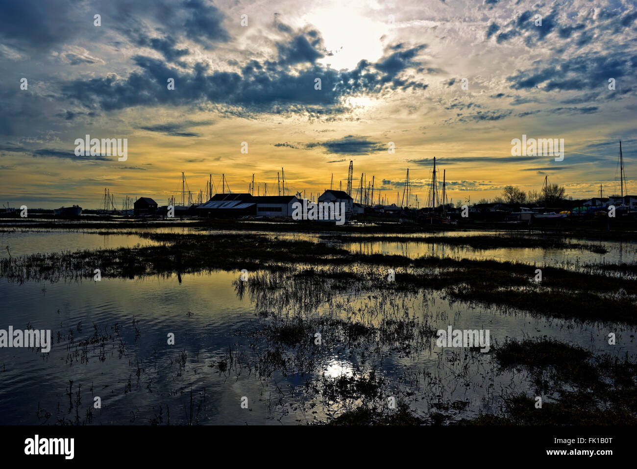 Tollesbury marina Essex with mud berths at high tide Stock Photo - Alamy