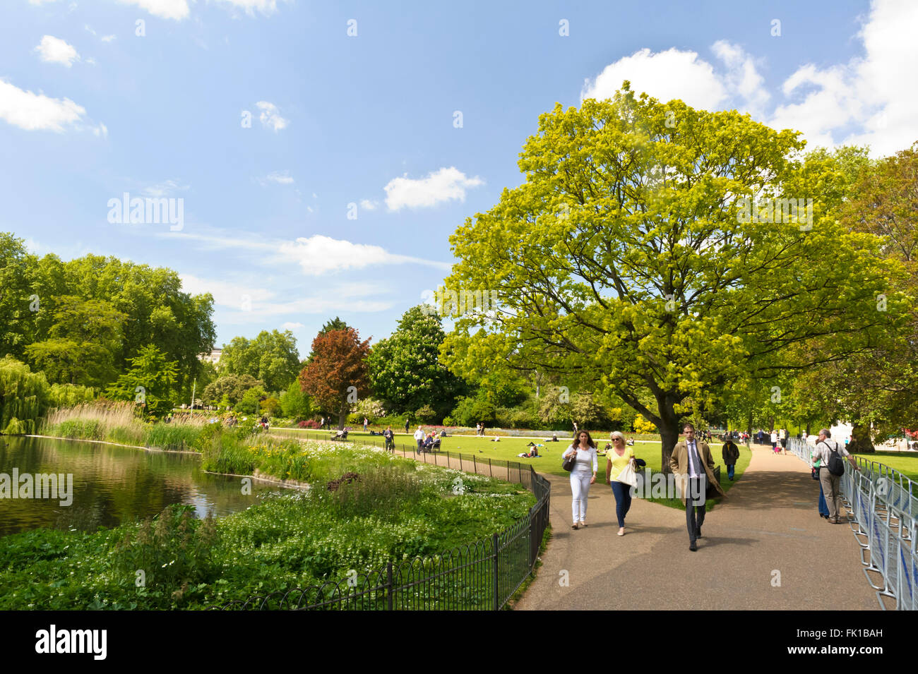 St James Royal Park, a famous park in central London and the oldest of ...