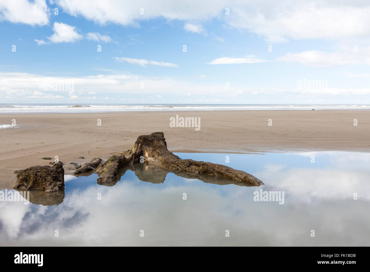 The Submerged Forest at Borth, Ceredigion. The forest gave rise to the ...