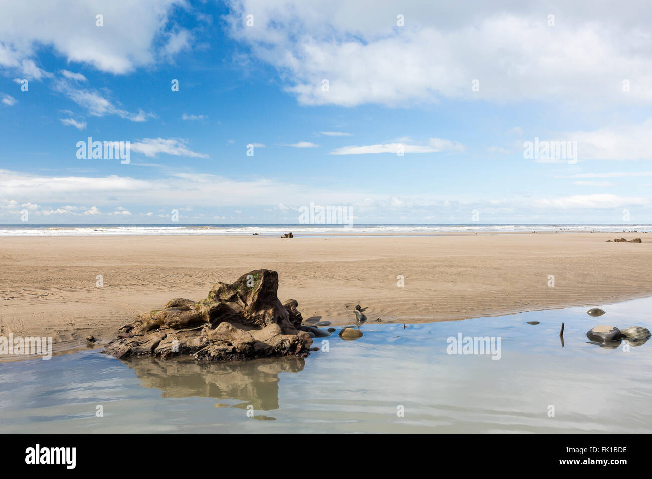 The Submerged Forest at Borth, Ceredigion. The forest gave rise to the ...