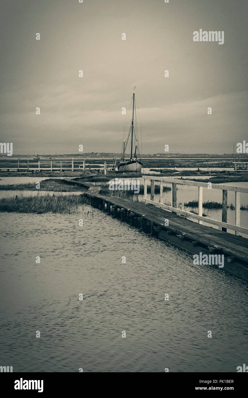 blue monochrome vignetted scene of wooden walkways through salt marshes ...