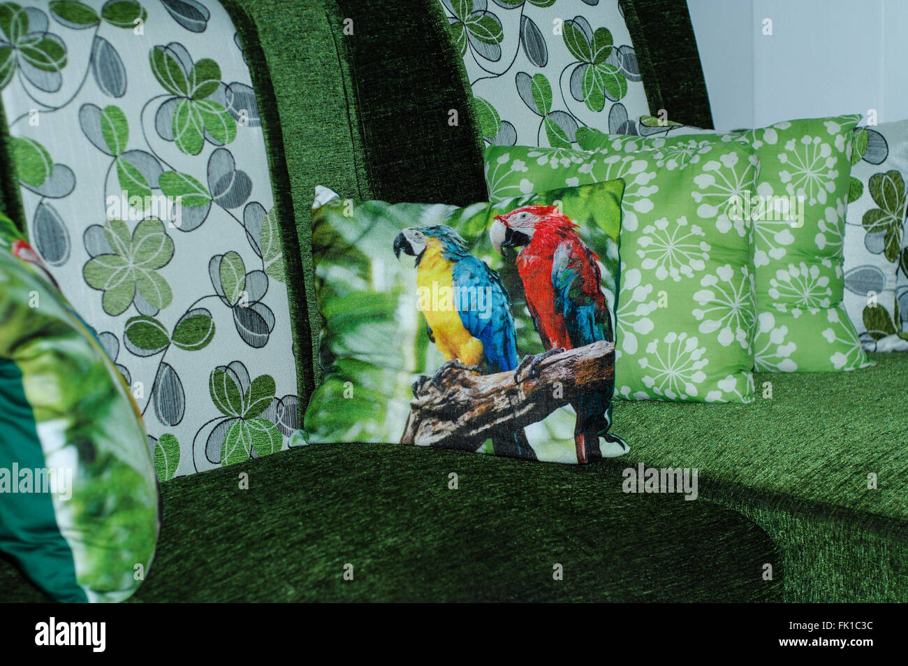 Green chair with parrot cushion Stock Photo - Alamy