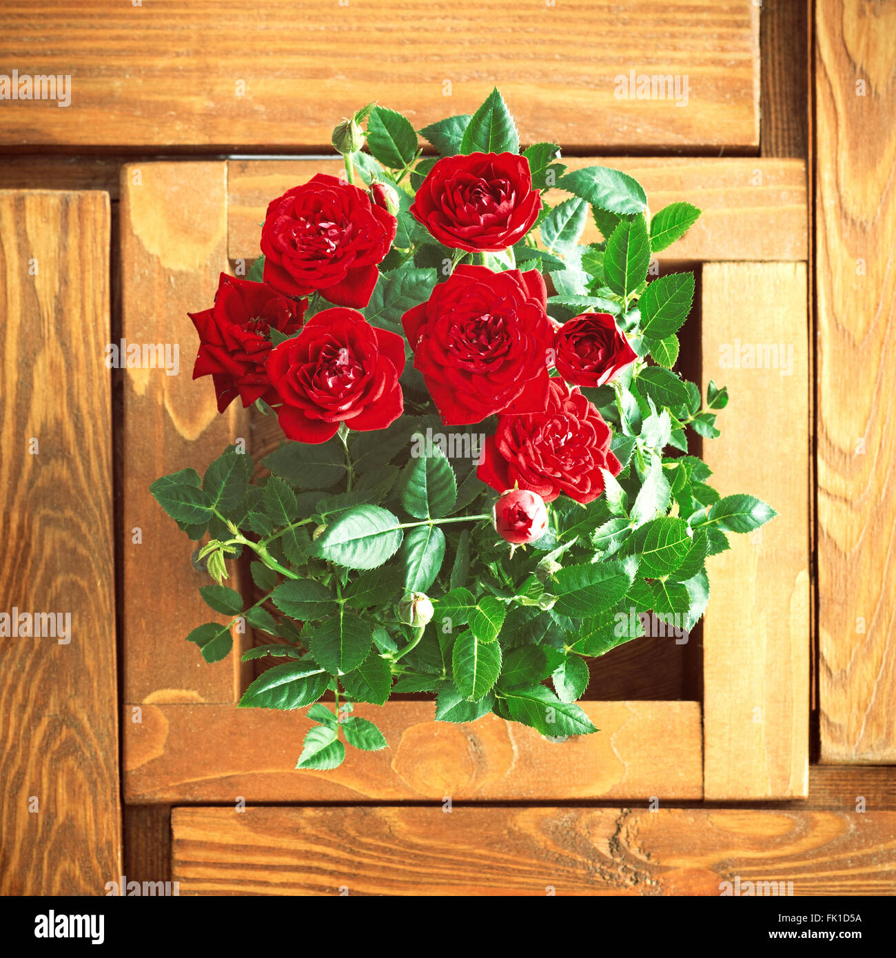 red roses on a wooden table Stock Photo - Alamy