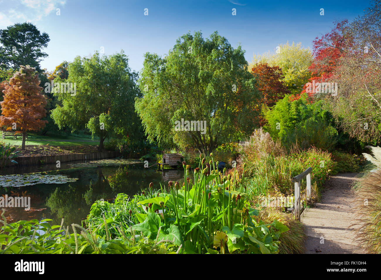 Brilliant autumn colours in the Sir Harold Hillier Gardens, Romsey ...