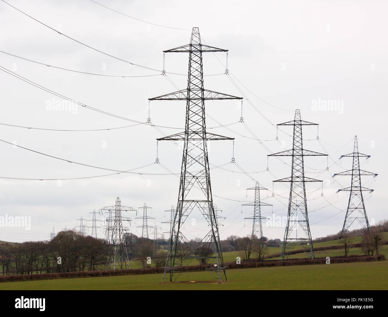 Electricity pylons cutting a swathe through the north Devon countryside ...