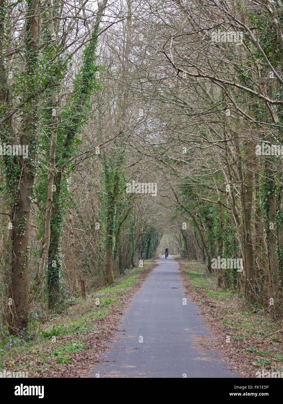 Winter on the Tarka Trail, a pedestrian and cycle path following the ...