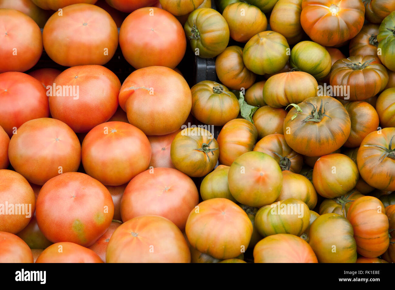 Exhibition of tomatoes in the market Stock Photo - Alamy