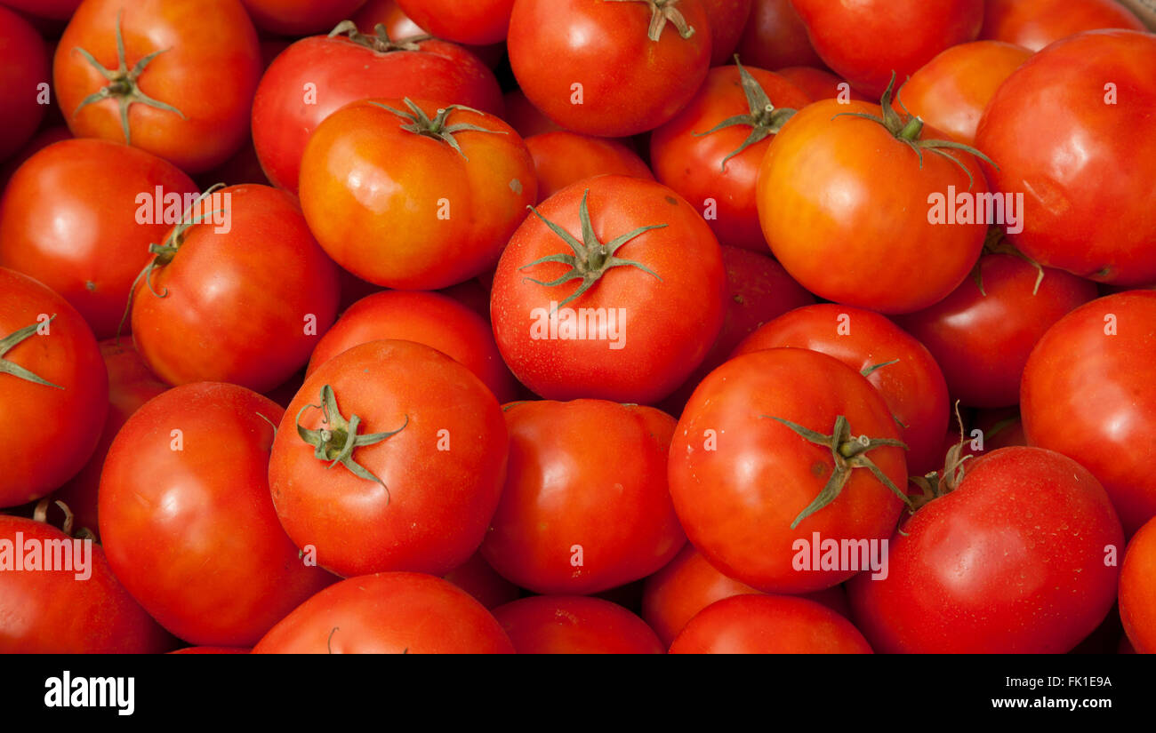 Exhibition of tomatoes in the market Stock Photo - Alamy