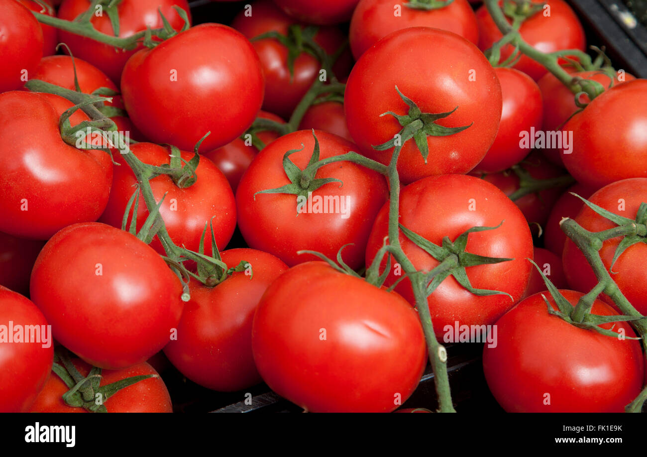 Exhibition of tomatoes in the market Stock Photo - Alamy