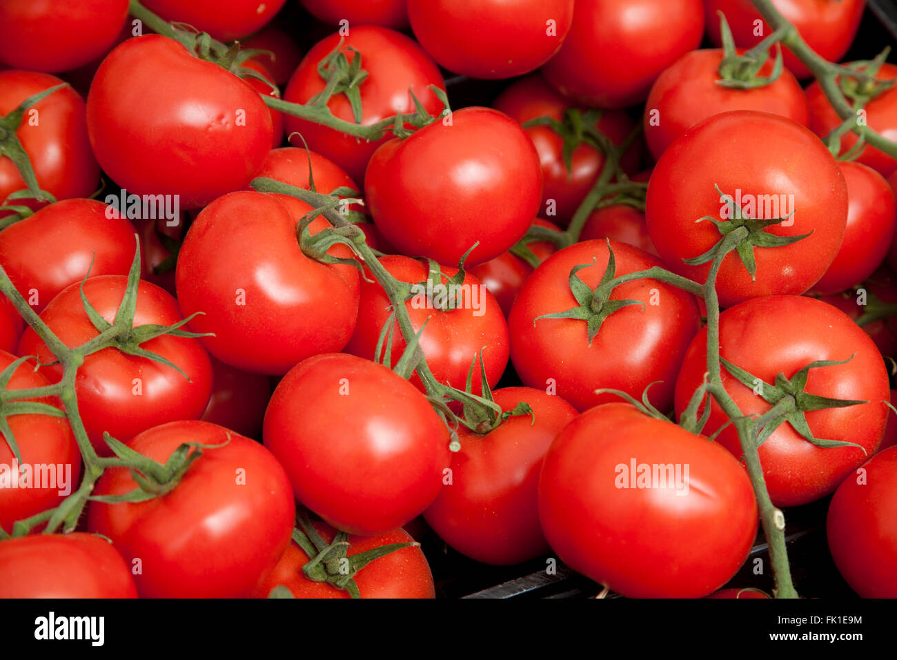 Exhibition of tomatoes in the market Stock Photo - Alamy