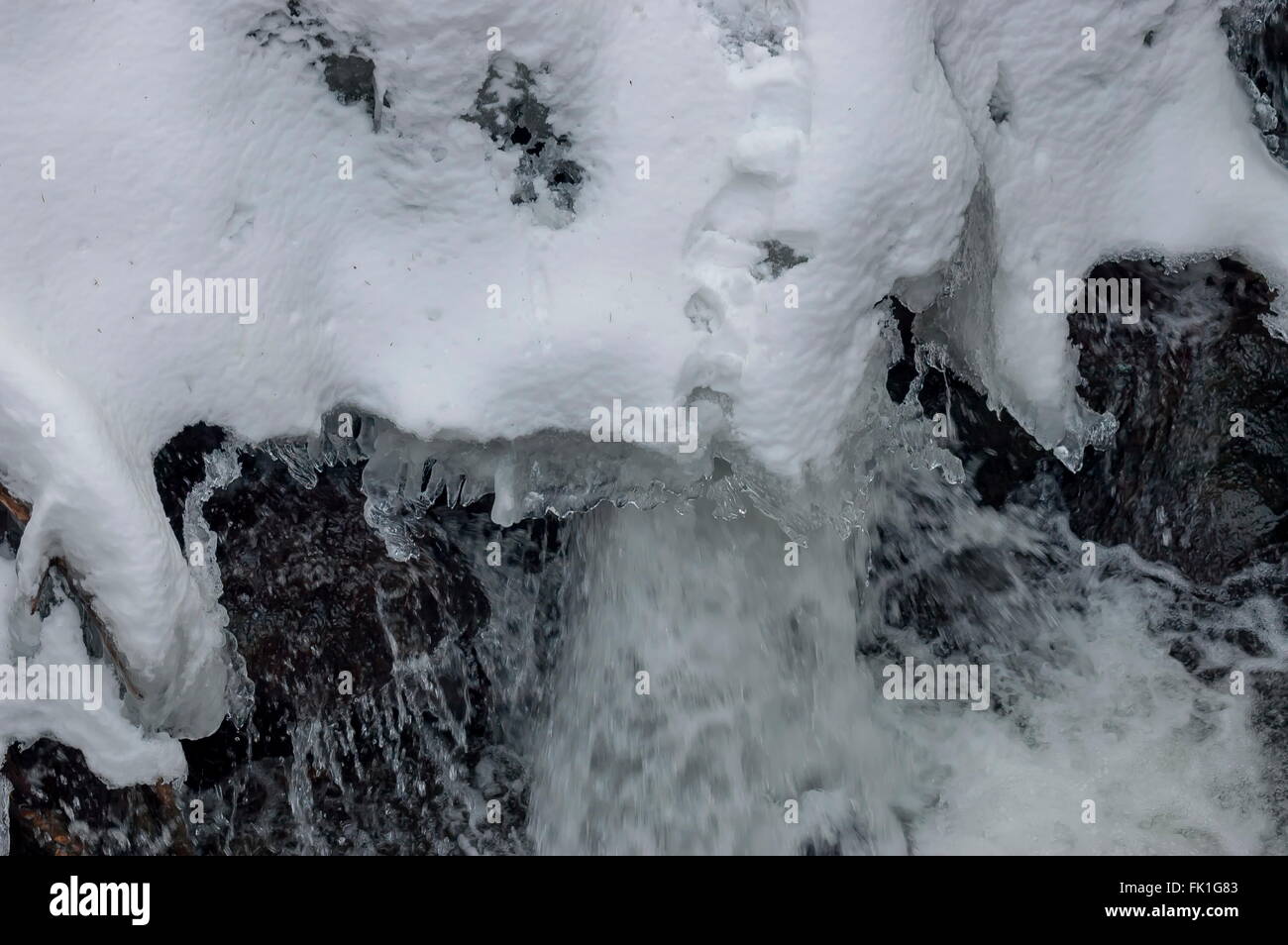 Fluent hi-res stock photography and images - Alamy