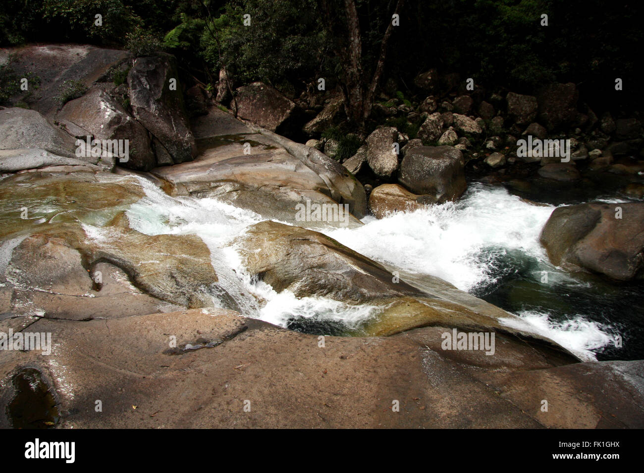 Running river with greenery hi-res stock photography and images - Alamy
