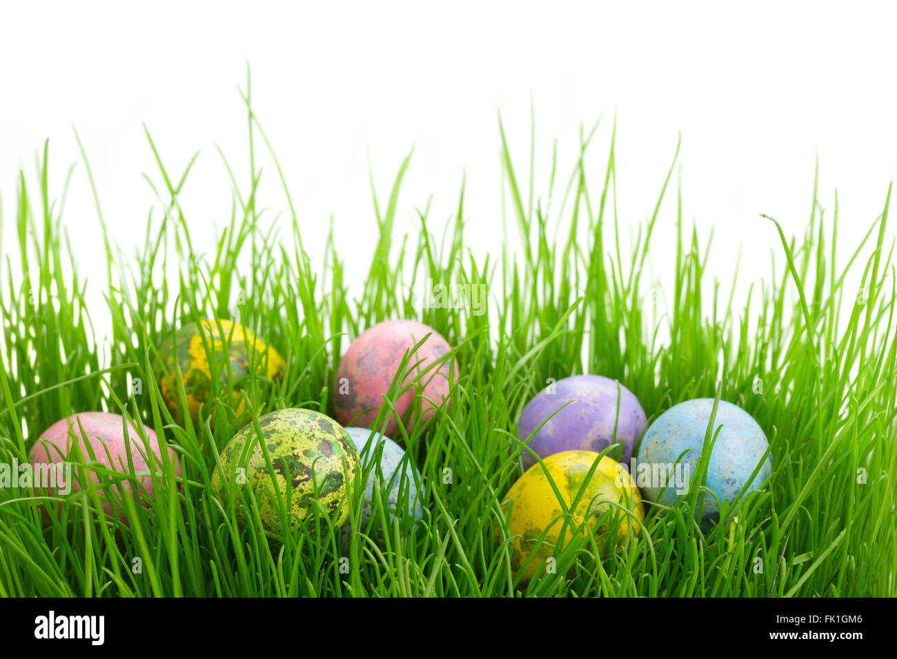 Easter eggs in grass Stock Photo - Alamy