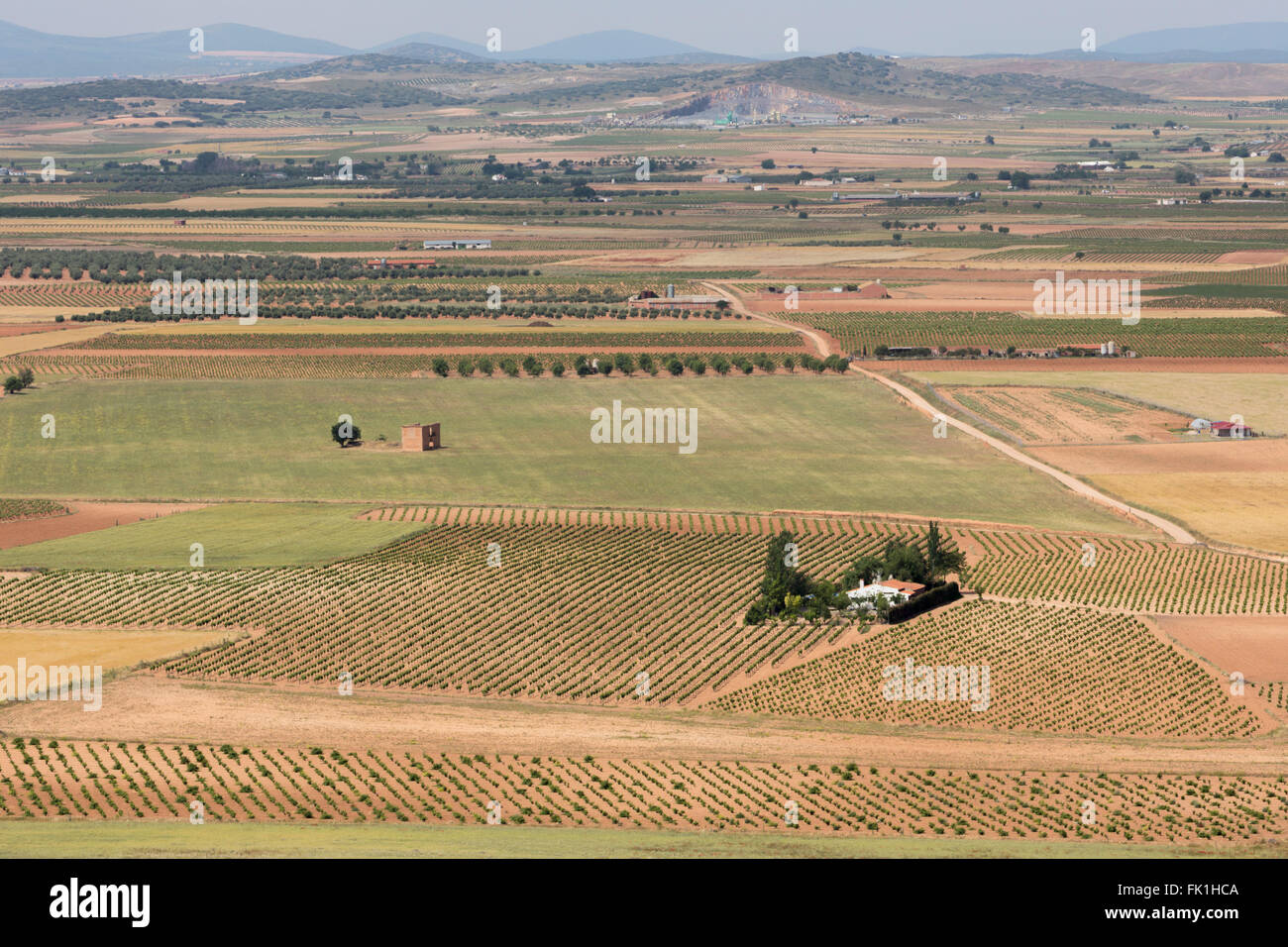 near Consuegra, Toledo Province, Castilla-La Mancha, Spain. Farmland ...