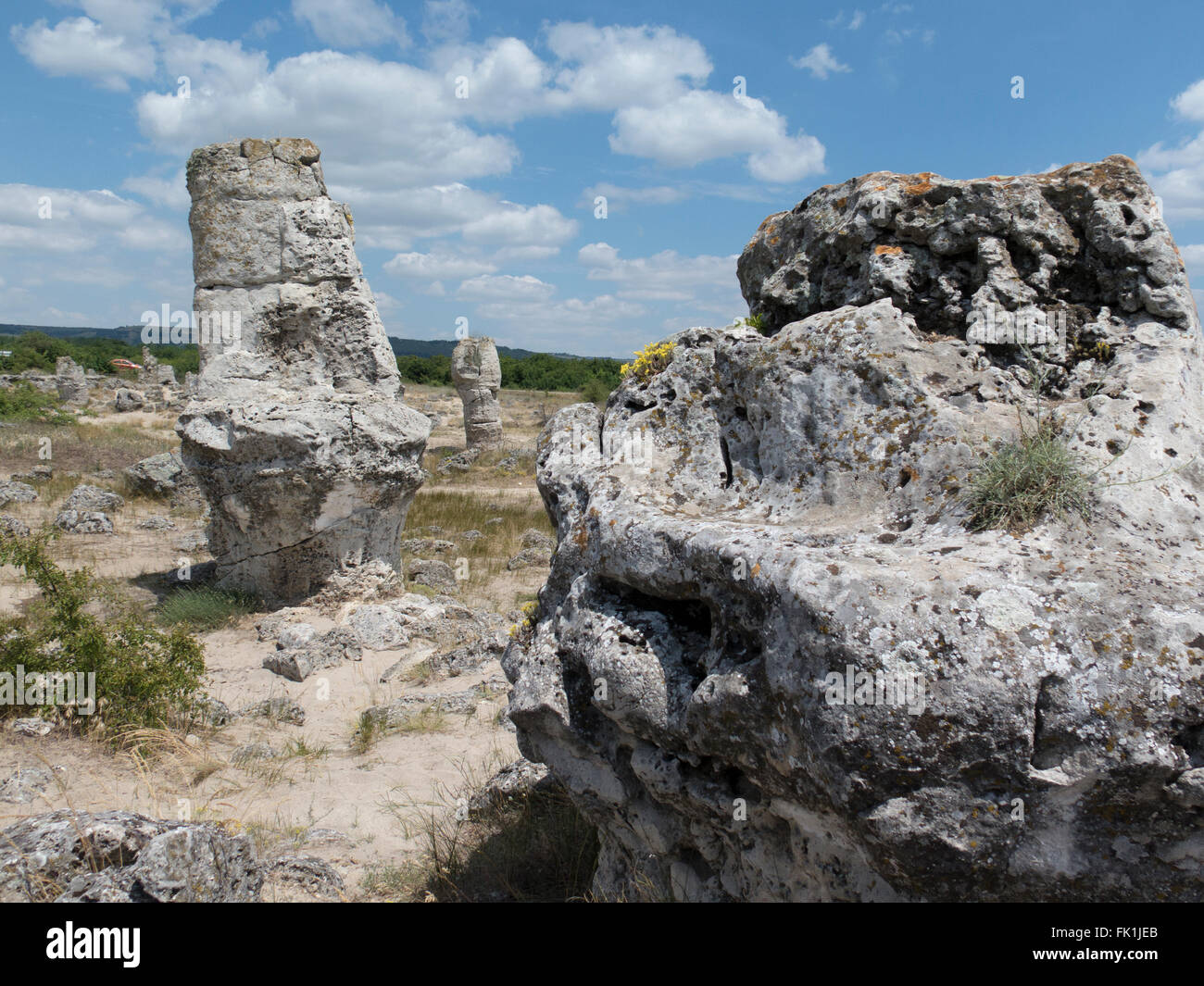 The stone forest near Varna, stones pillars , geological phenomenon ...