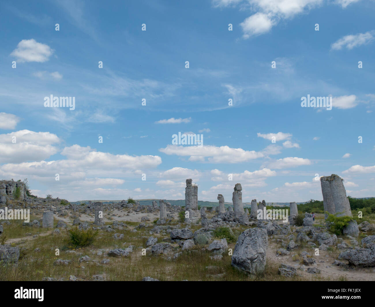 Stone forest (Pobiti Kamani) near Varna Stock Photo - Alamy