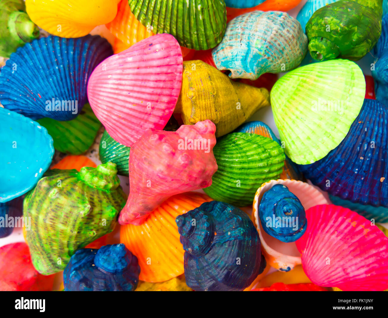 memorable background from the bright colored shells closeup, top view ...