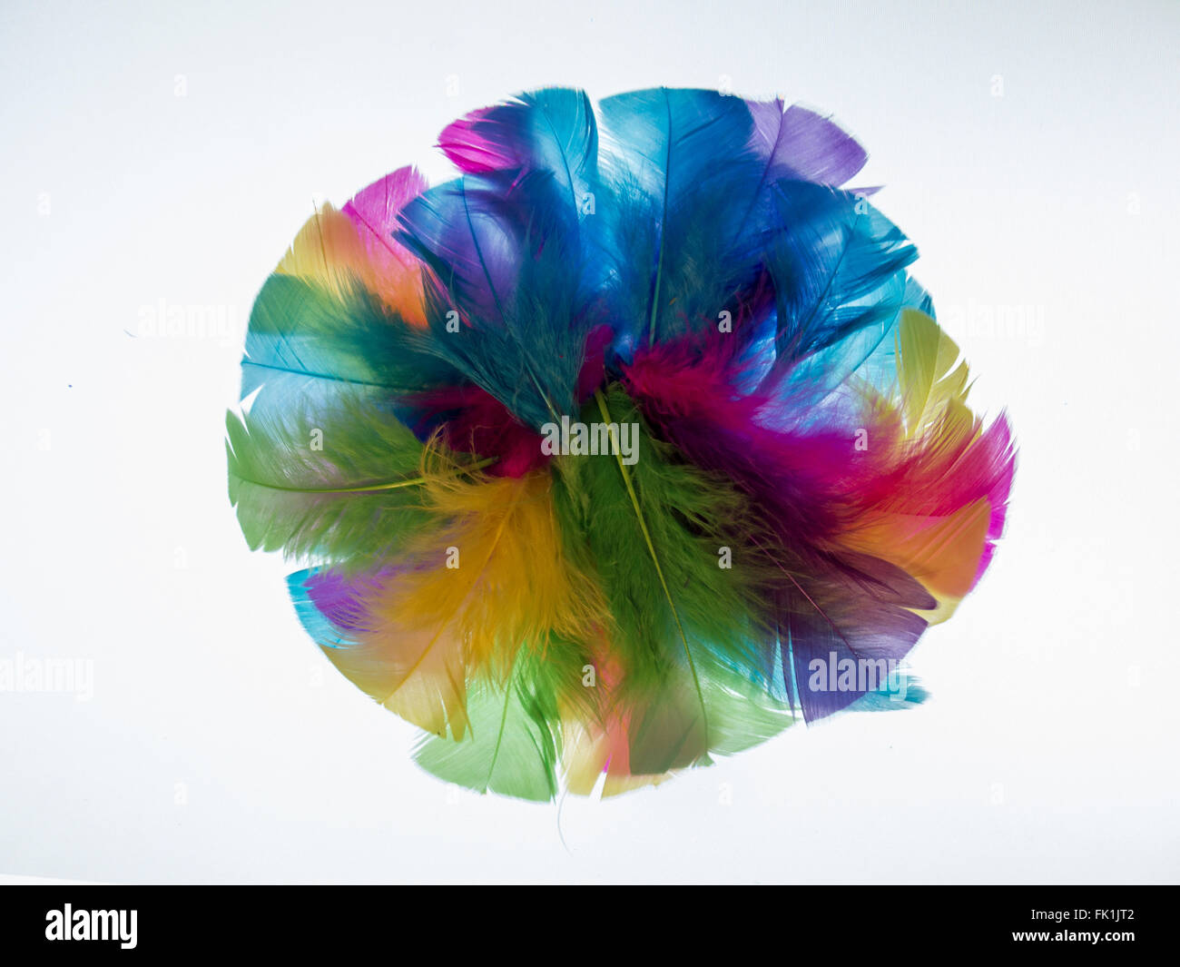 laid out the terms of light feathers, colorful, romantic. white ...