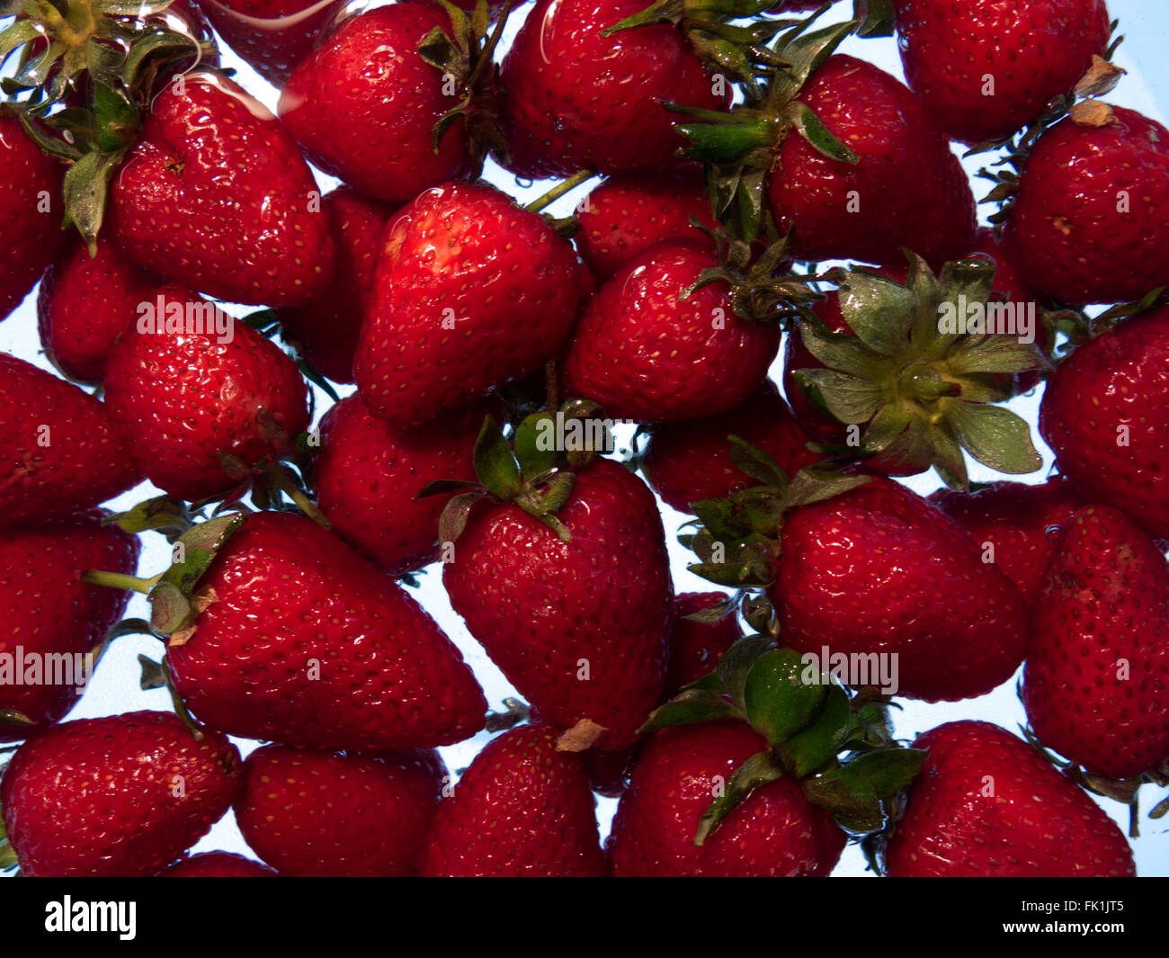 many strawberries in water with backlighting. wallpaper for cooking ...