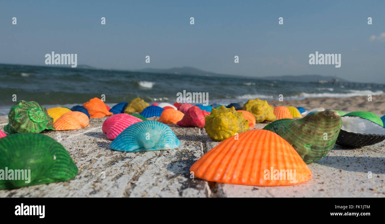 unusual seashells on a white table against the background of sea and ...