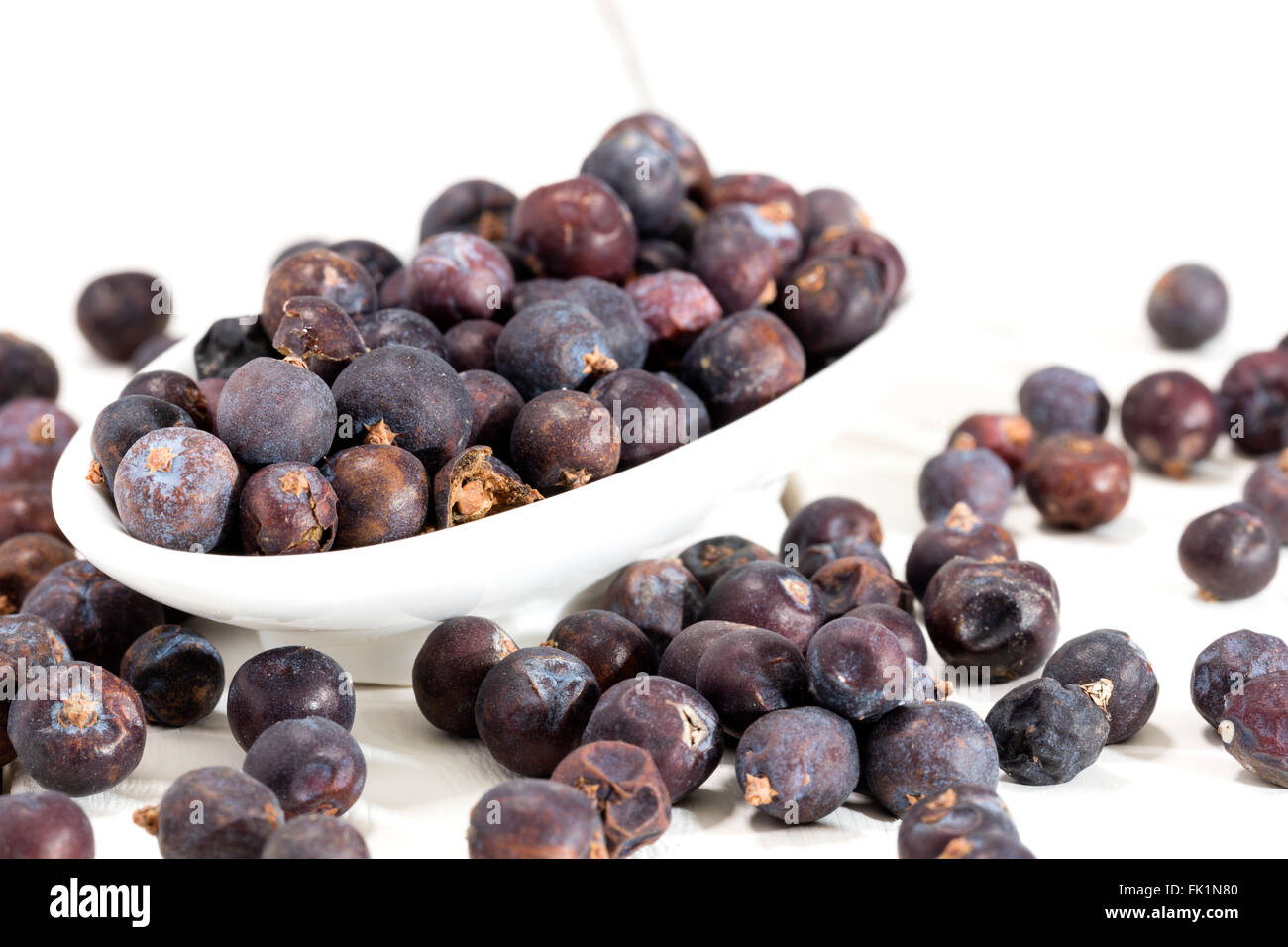 Juniper Berry Photography Individual Portraits