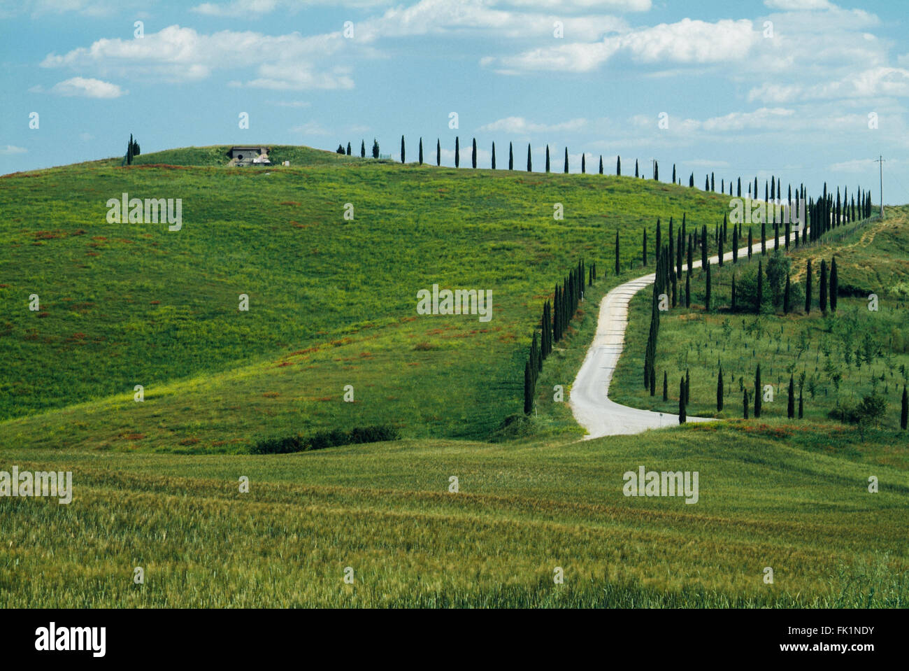 Valdorcia is one of the most famous valley in Tuscany which is covered ...