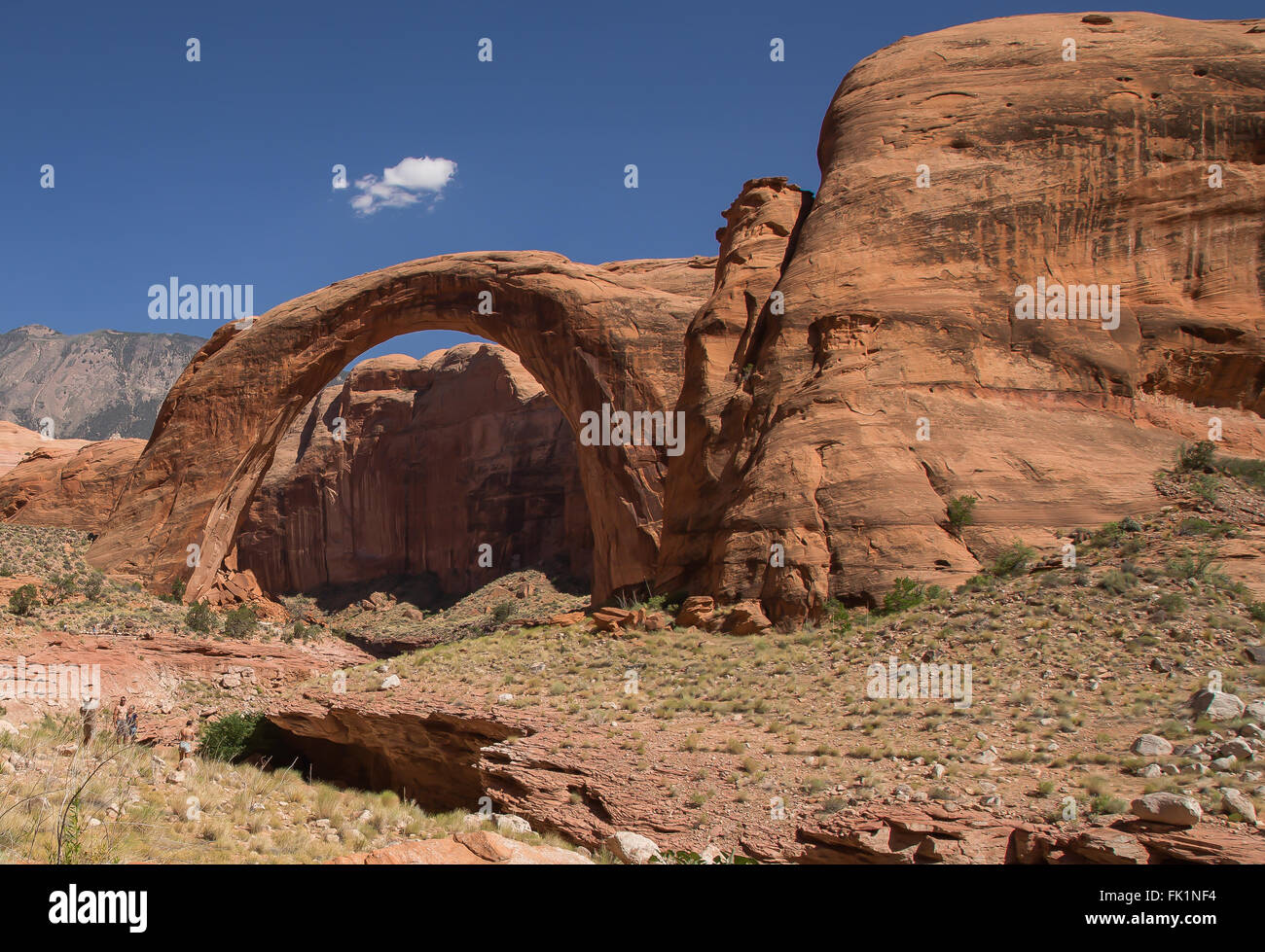 Rainbow bridge utah hi-res stock photography and images - Alamy
