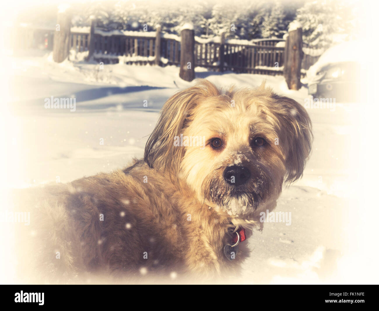 Sleeping eye mas hi-res stock photography and images - Alamy