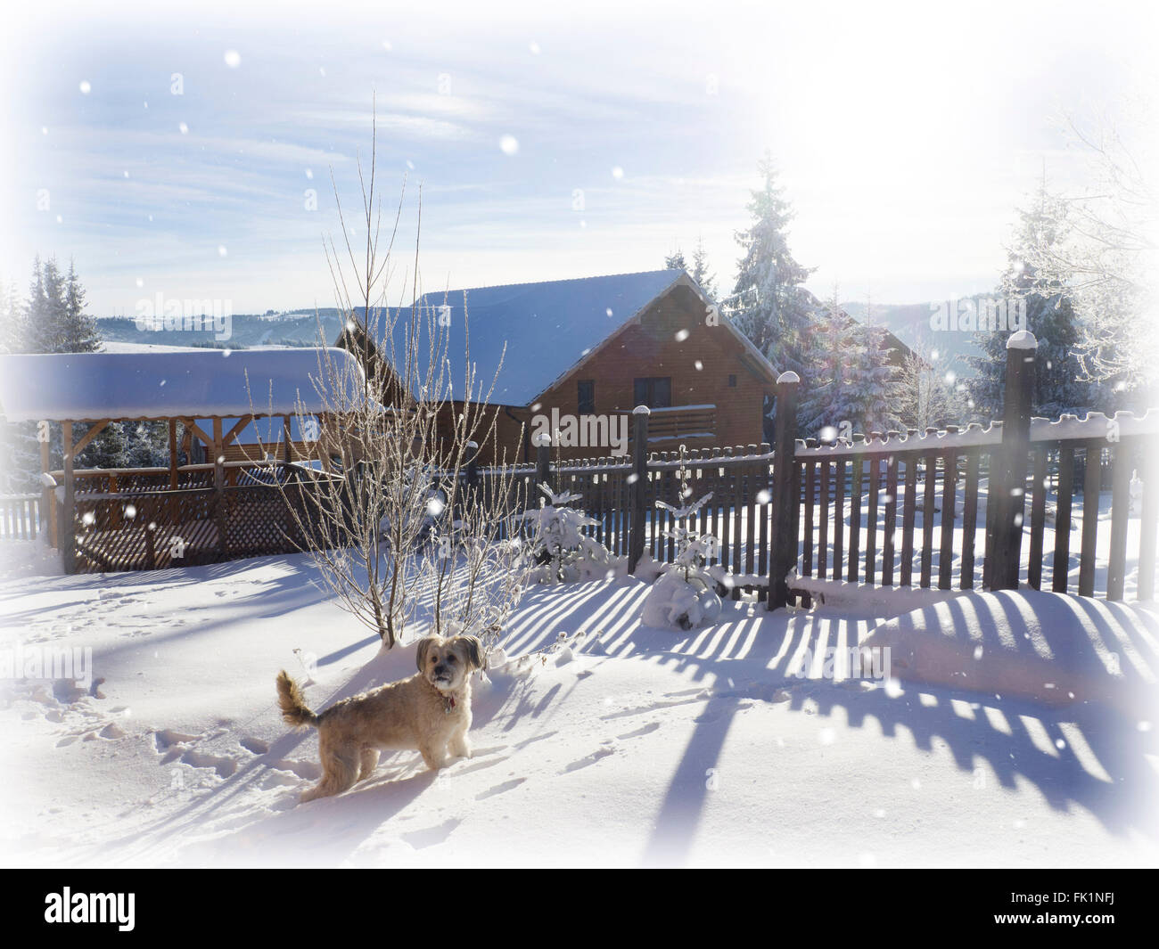 Sleeping eye mas hi-res stock photography and images - Alamy