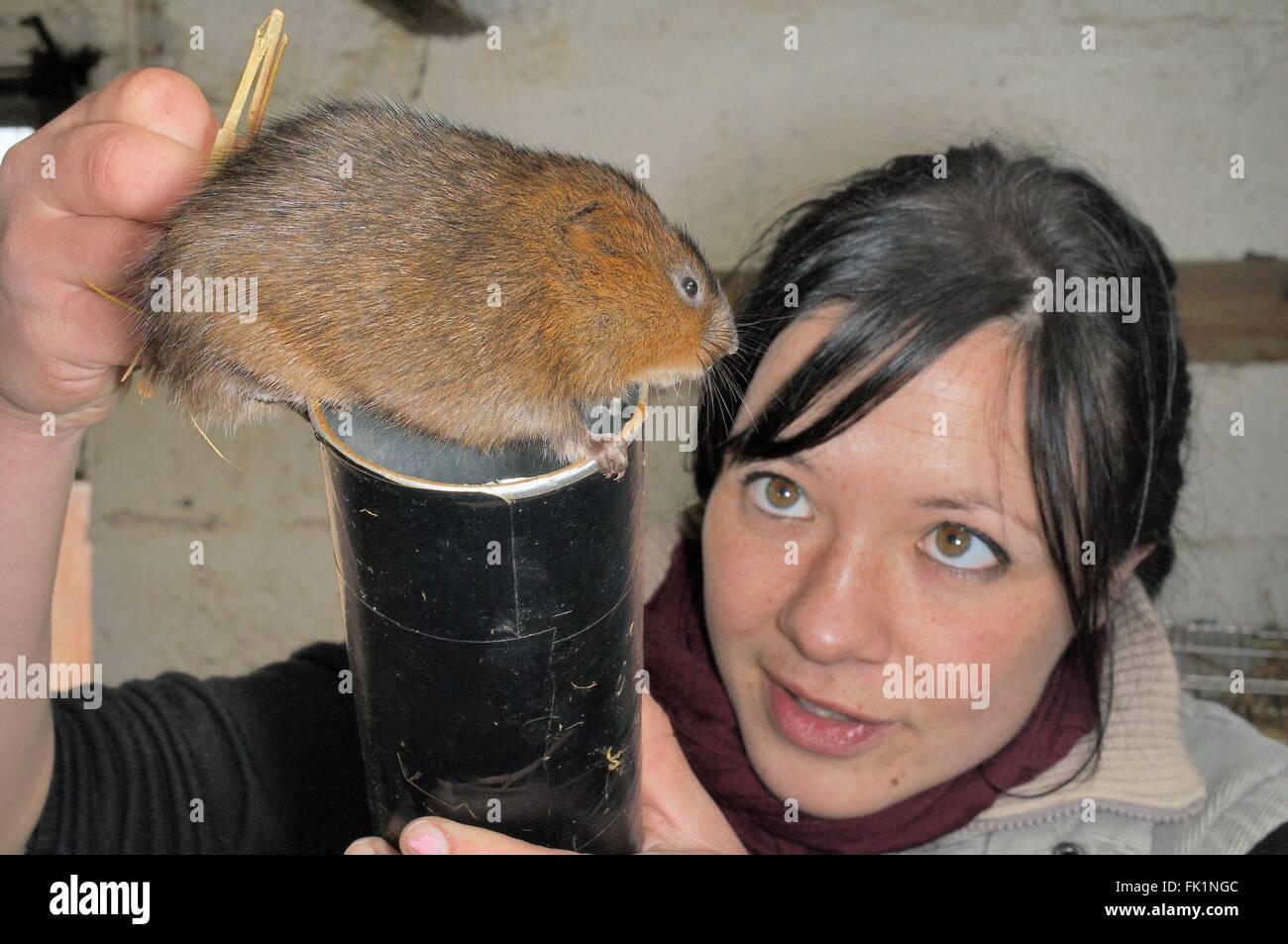 Captive breeding programme hi-res stock photography and images - Alamy