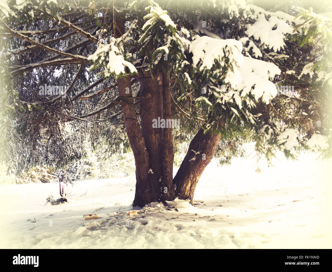 Sce hi-res stock photography and images - Alamy