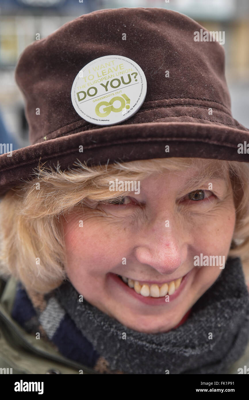 Members Vote Leave Campaign High Resolution Stock Photography and ...