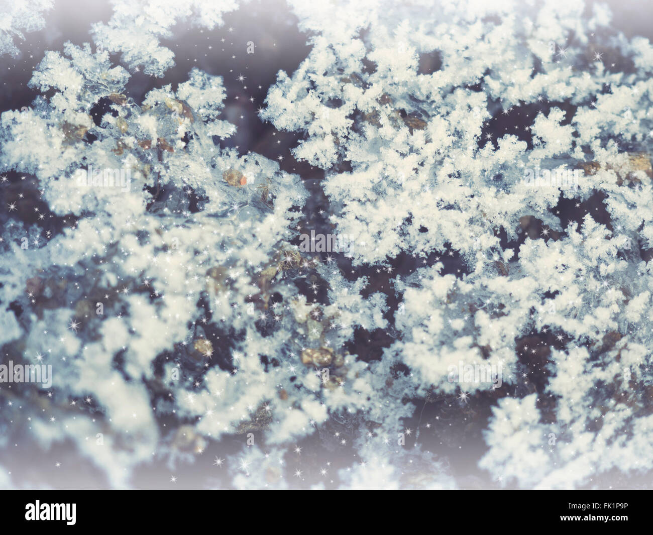 Ice flower hi-res stock photography and images - Alamy