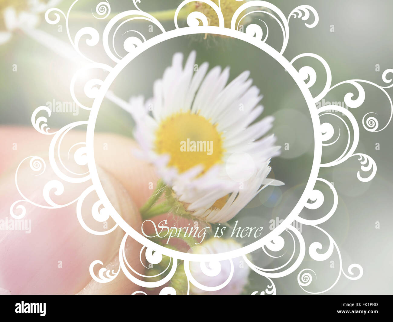 spring is here Stock Photo - Alamy